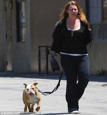 Beckham, cane con smalto | Donna Fanpage