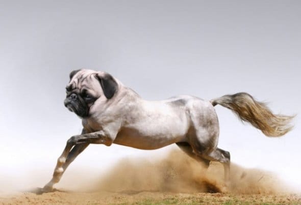 Evolution Gone Wrong | Donna Fanpage