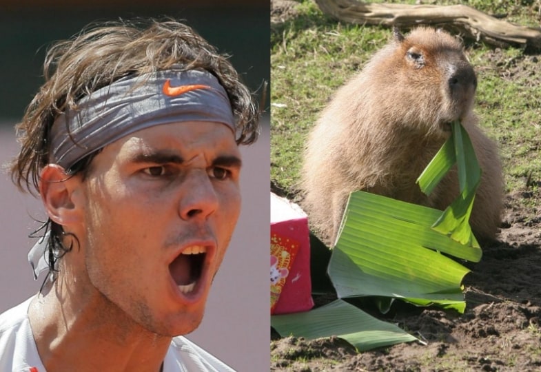 I vip e i loro sosia | Gossip Fanpage