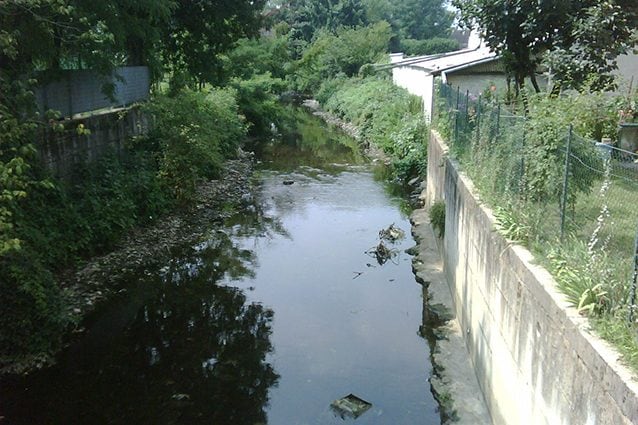 Padova, bimba cade nel fiume: papà eroe la riporta a riva e la salva