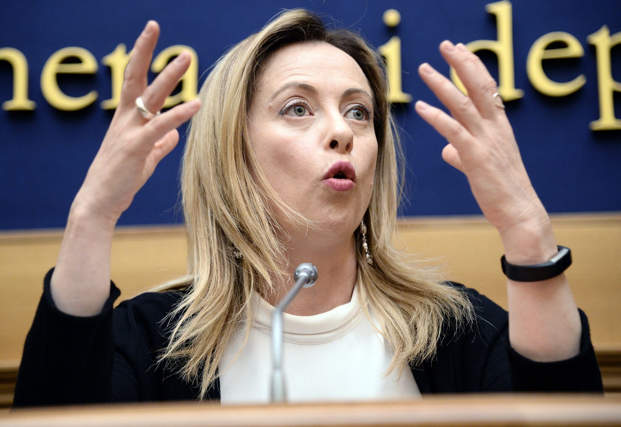 Meloni: "Mi preparo a governare l'Italia. Con Salvini differenze, ma ...