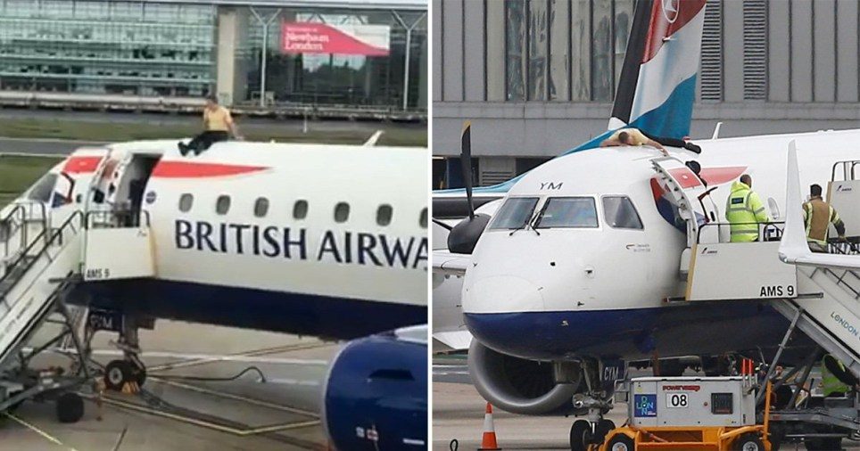Londra, l'attivista pro-clima sale su aereo pronto al decollo ...