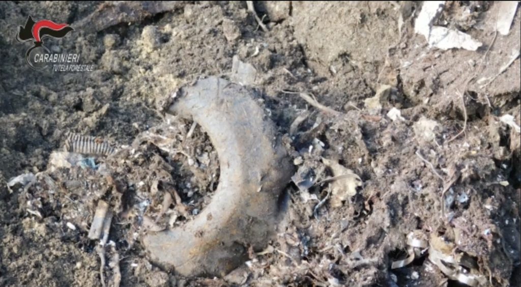 'Ndrangheta e traffico illecito di rifiuti, 29 arresti: anche l’ex ...