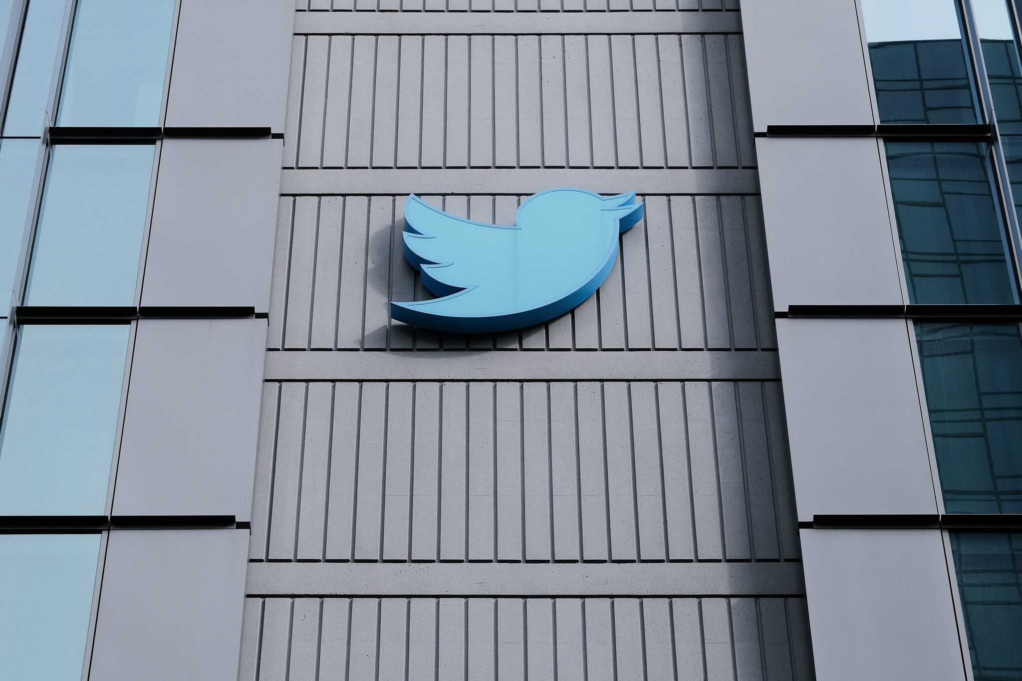 Elon Musk ha trasformato alcune stanze della sede di Twitter in ...
