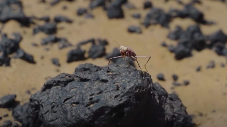 Il posto più caldo della Terra: nel deserto di Lut il termometro supera ...