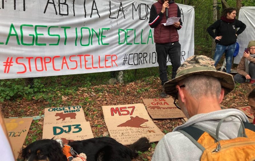Trento, protesta per salvare l’orsa Jj4, in centinaia davanti al ...