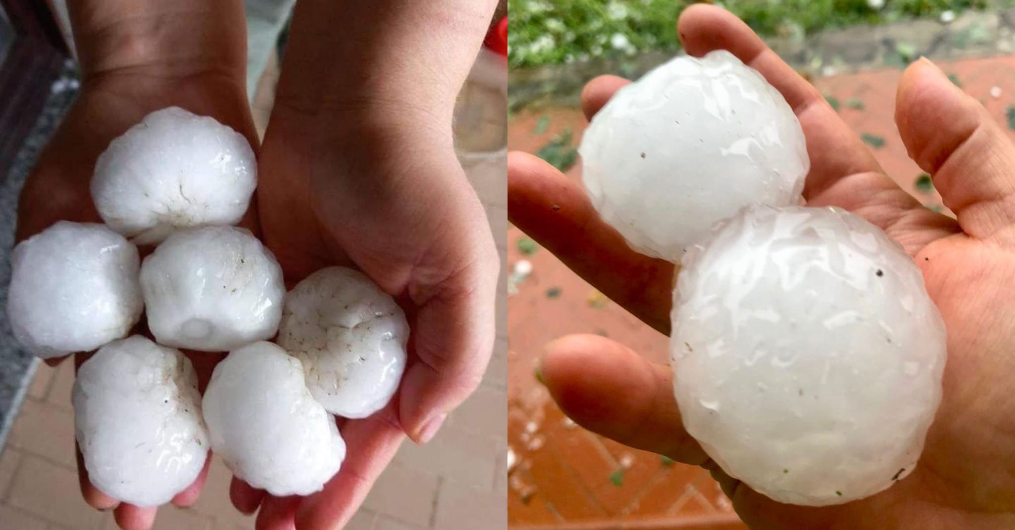 Grandine nell'Astigiano, grandine fino a 6 cm di diametro e alberi ...