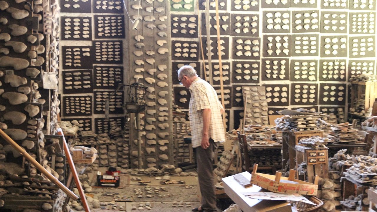 Luigi Lineri il custode silenzioso del fiume Adige: raccolte migliaia ...