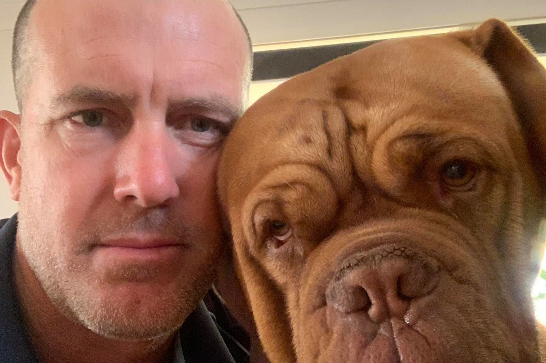 Australia, squalo lo attacca mentre fa surf. I testimoni: "Aveva il ...