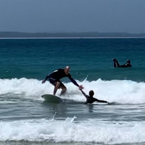 Australia, squalo lo attacca mentre fa surf. I testimoni: "Aveva il ...