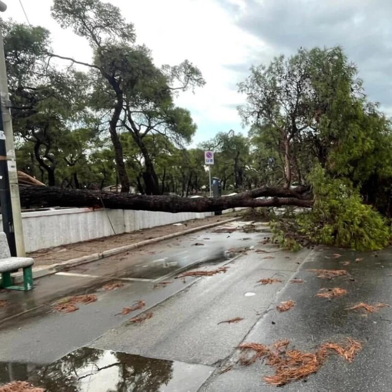 Tromba d’aria con bomba d’acqua nel Tarantino, alberi caduti e auto ...