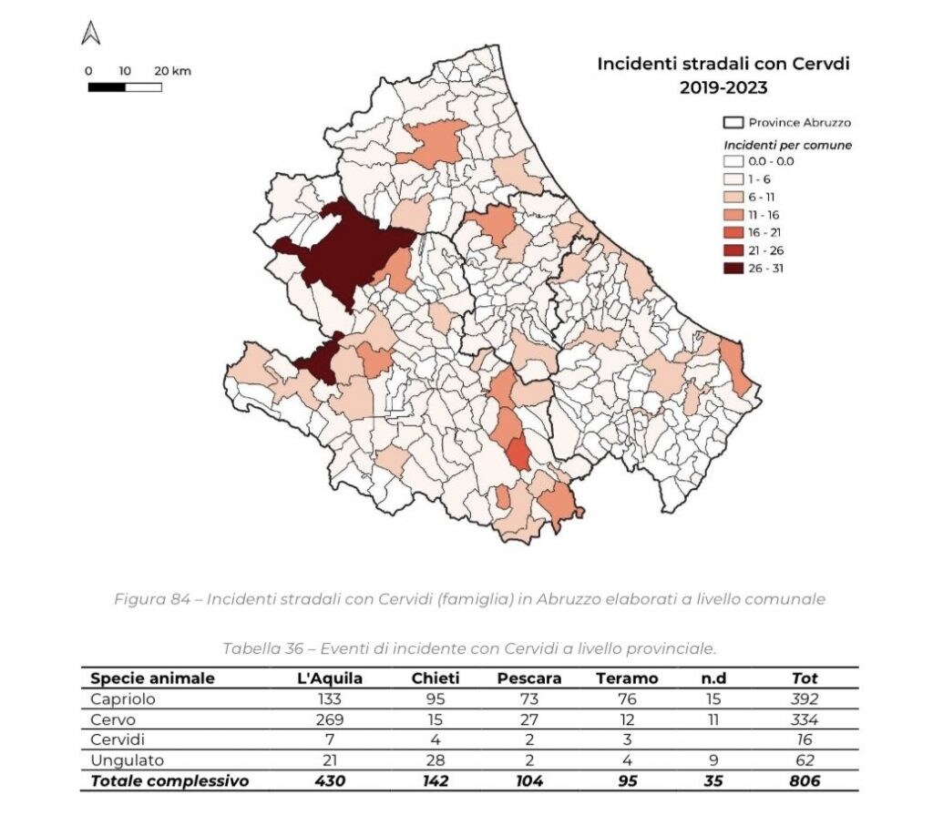 Caccia ai cervi in Abruzzo: dai dati che non tornano al ricorso al Tar ...