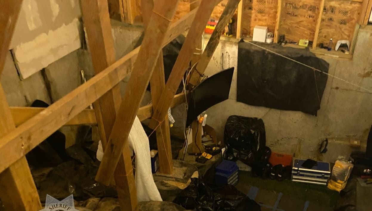 Dalle pareti strani rumori, nell'intercapedine del palazzo viveva da ...