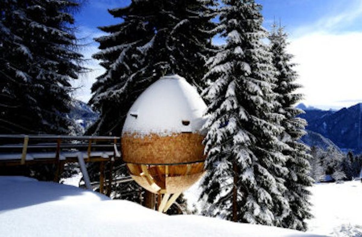 Pigna, la prima casa sull'albero a forma di uovo