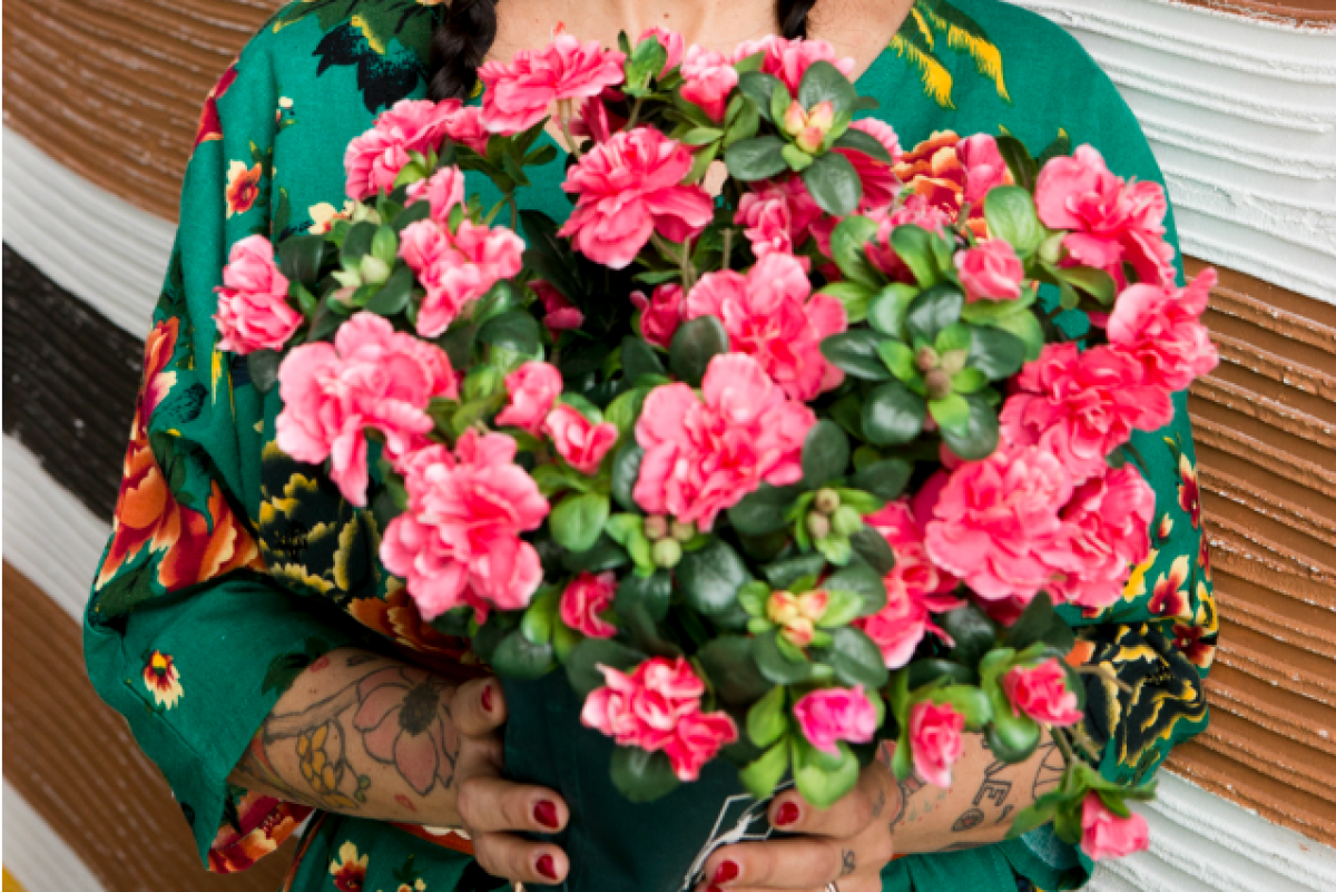 L'Azalea dell'AIRC per la Festa della mamma: quanto costa e dove trovarla