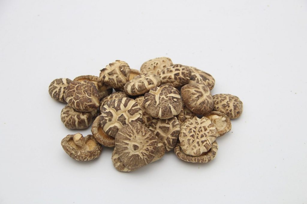 Fungo shiitake: proprietà, come utilizzarlo e controindicazioni