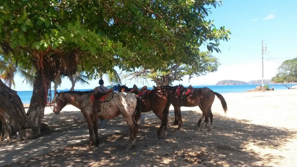Spiagge della Costa Rica: il mare da favola della Penisola di Nicoya