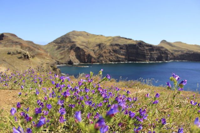 Madeira, l'isola dell'eterna primavera