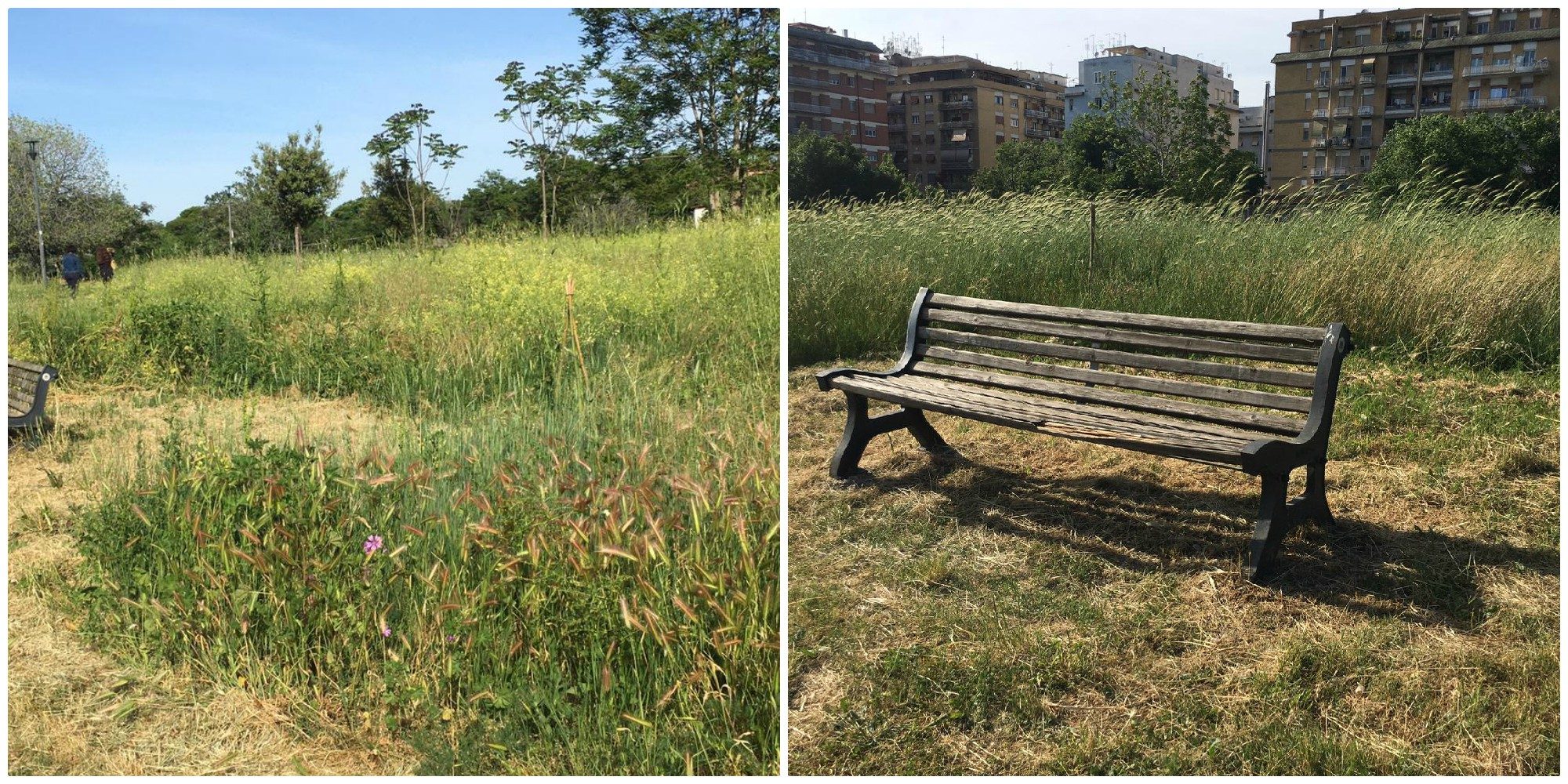 Nei parchi di Roma non c'è spazio per i bimbi: "Erba alta 2 metri, ho ...