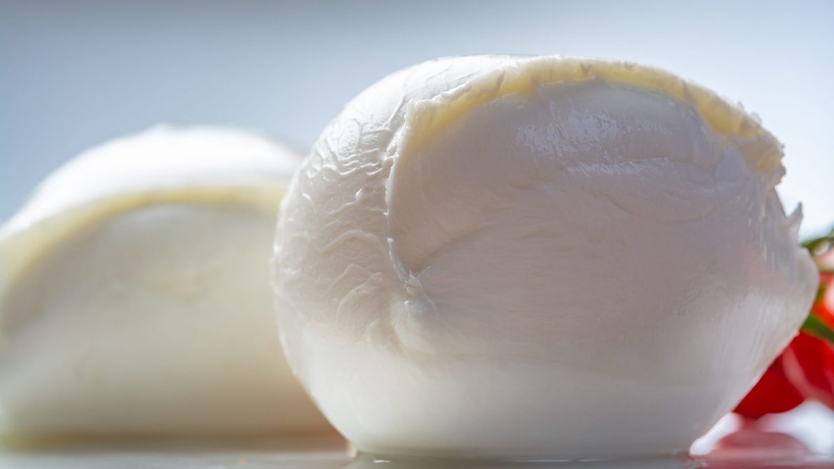 Mozzarella di bufala: storia e i negozi dove comprarla