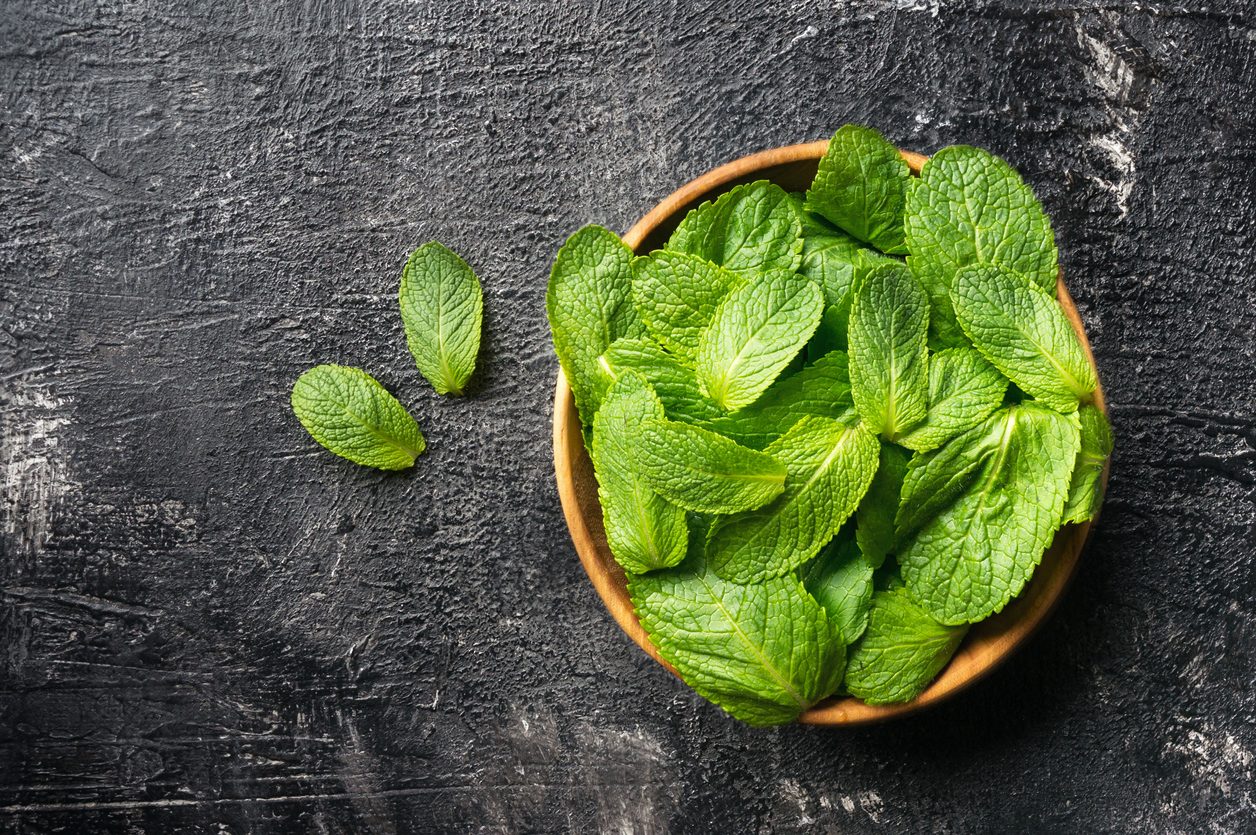 Menta: proprietà, benefici e usi in cucina
