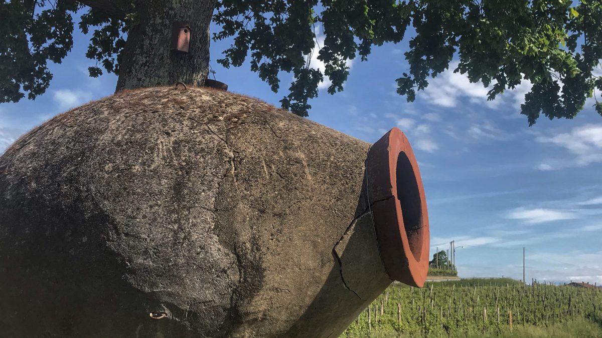 Vini in anfora: cosa sono e perché piace l'Amphora Revolution