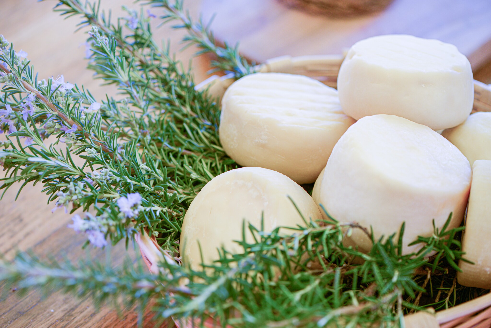 Formaggi caprini: caratteristiche, proprietà e principali tipologie ...