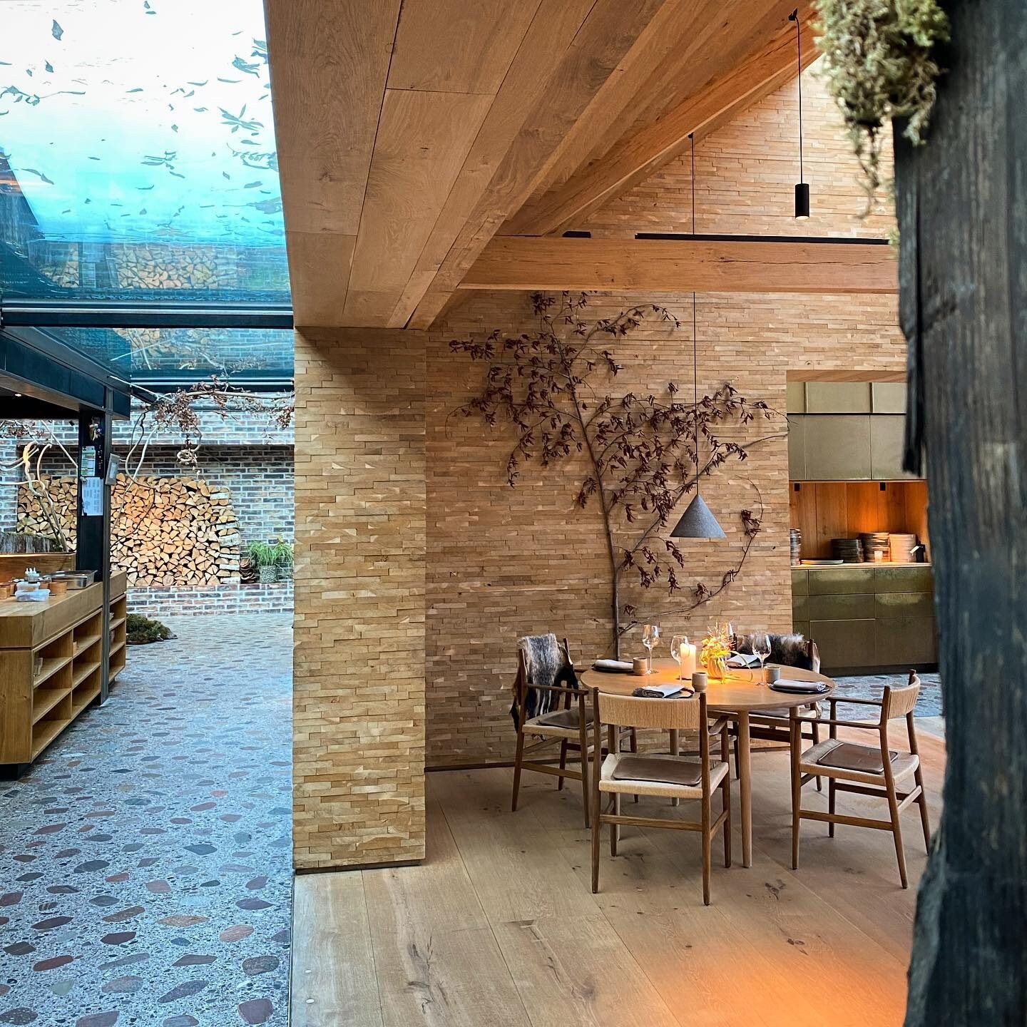 Stefano Ferraro lascia il Noma e apre un locale a Milano