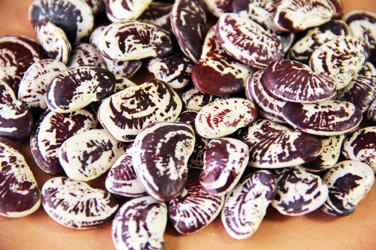 Le varietà dei fagioli: le tipologie più diffuse in Italia da provare