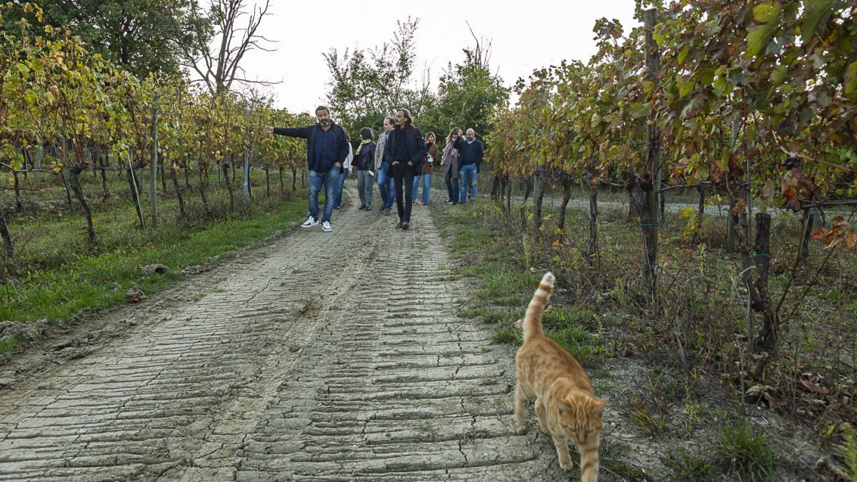 Invecchiare bene: 24 ore in Val Curone alla scoperta di vini e salumi ...