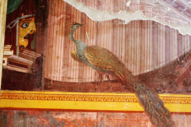 Cervelli di donnola, pappagalli e ghiri: i cibi più strani consumati ...