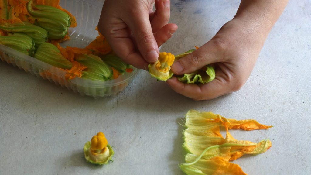 Frittelle di sciurilli: la ricetta campana dei fiori di zucca fritti
