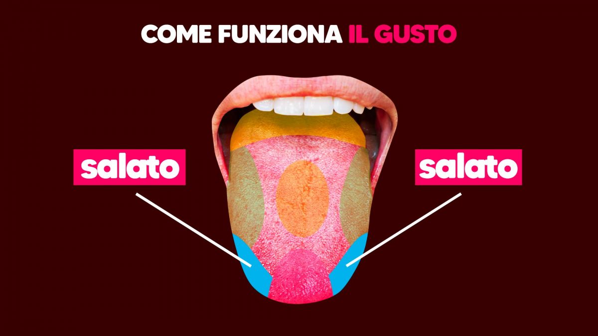 Viaggio nei sensi: che cos'è il gusto acido e come funziona