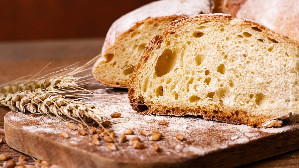 Il prezzo del pane aumenta ogni giorno di più