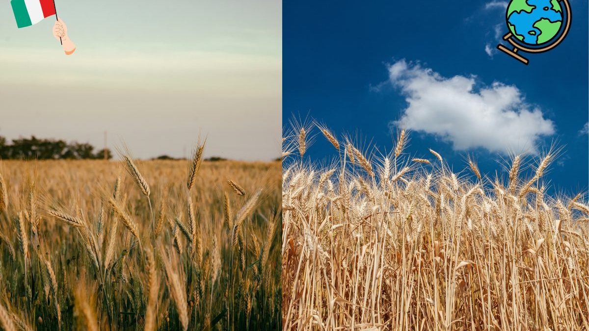 Tutto sull'acqua frizzante: storia, rischi, benefici