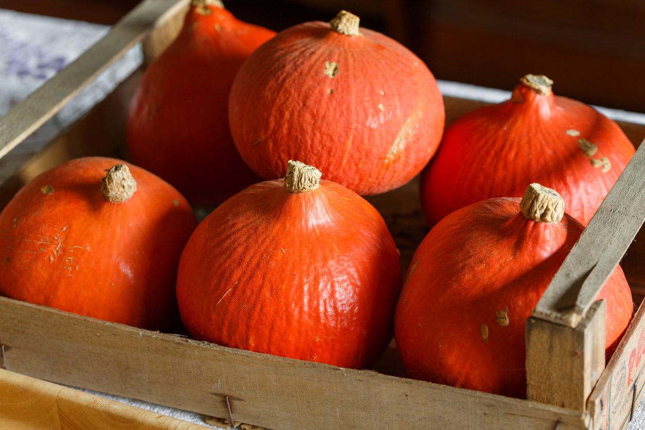 Zucca: quali varietà si possono mangiare con la buccia