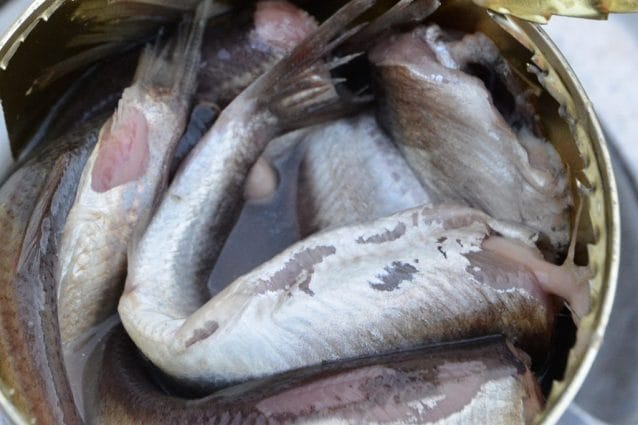 Cos'è l'aringa fermentata: specialità svedese e cibo più puzzolente del ...