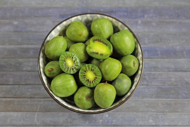 Cos'è il nergi: il super kiwi in miniatura che si mangia con lo ...