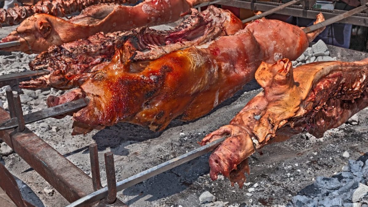 Il Porceddu torna libero: si può esportare nuovamente al di fuori della ...