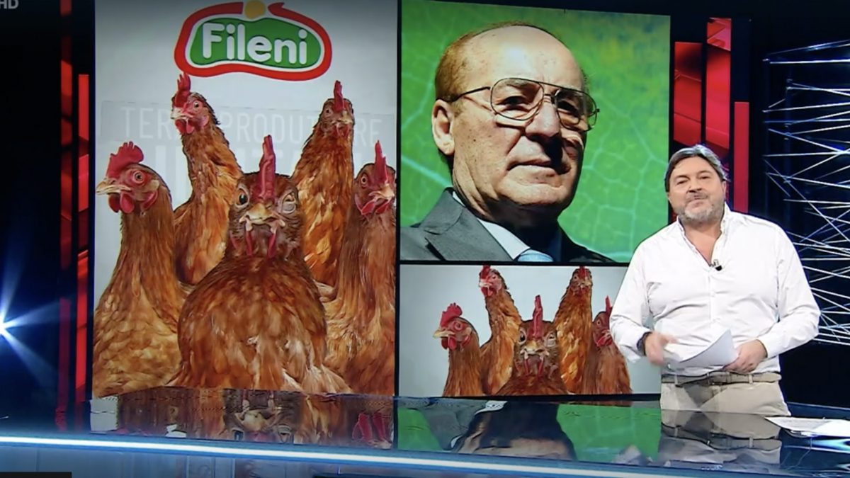 L'accusa di Report a Fileni (che risponde)