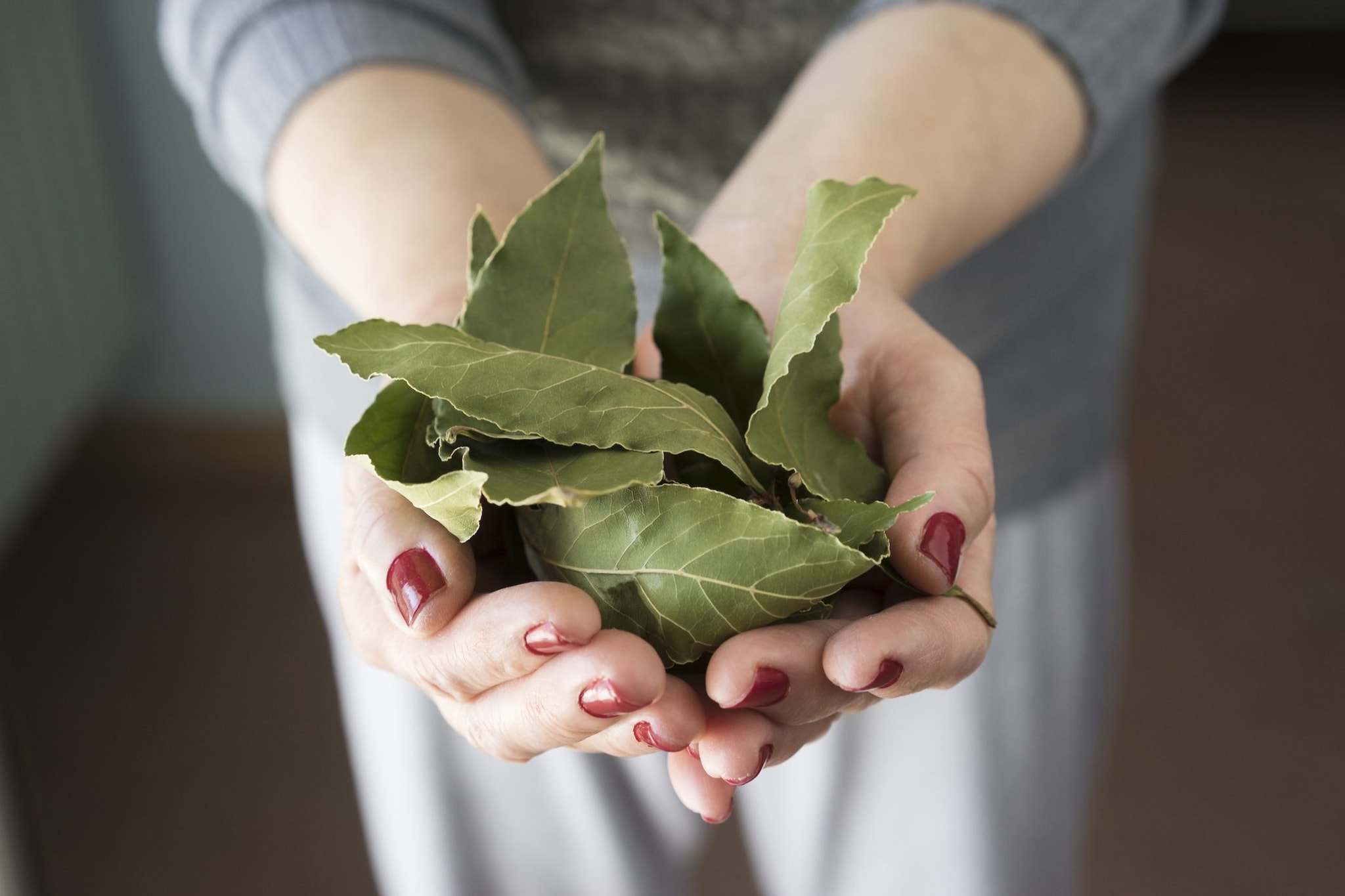 Bay leaves: 11 health benefits