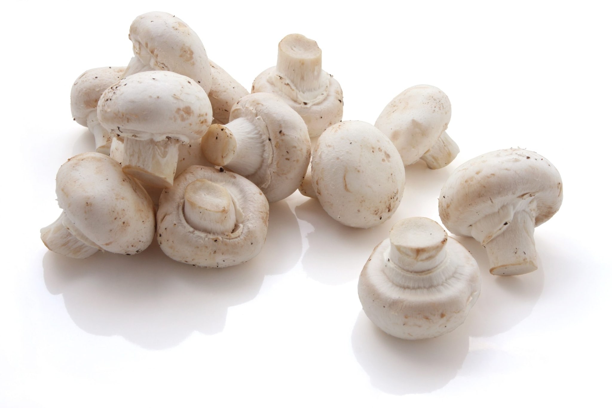 10 types of mushrooms and tips for cooking them in the best way
