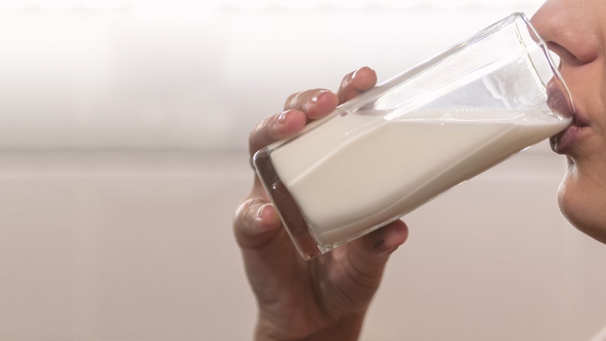 Pea milk: properties, how to prepare it at home and how to use it