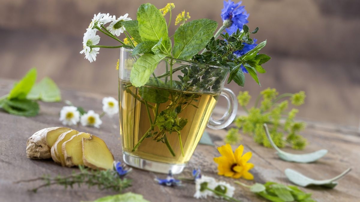 5 detox teas to purify and detoxify the body