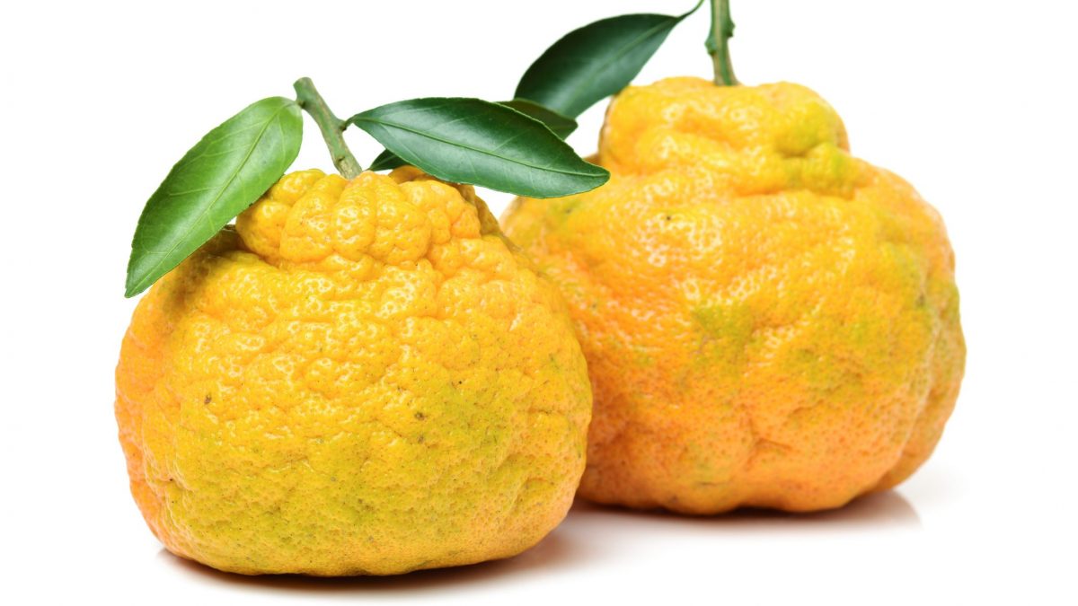 All about Ugli fruit