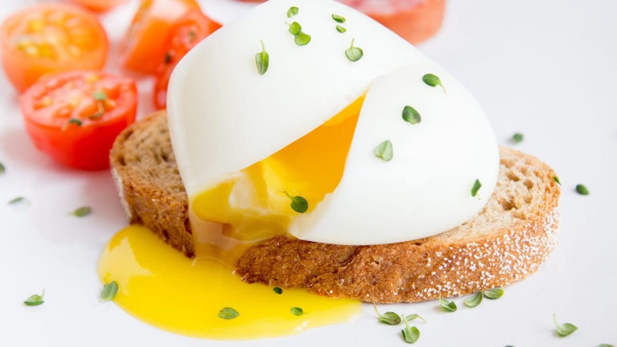 Here's An Ultimate Guide On ALL the Possible Ways To Cook Eggs
