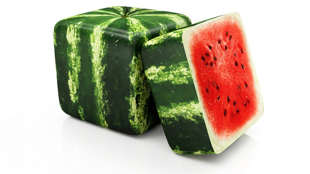 Why people are paying top Dollar for these funky, Cube Watermelons