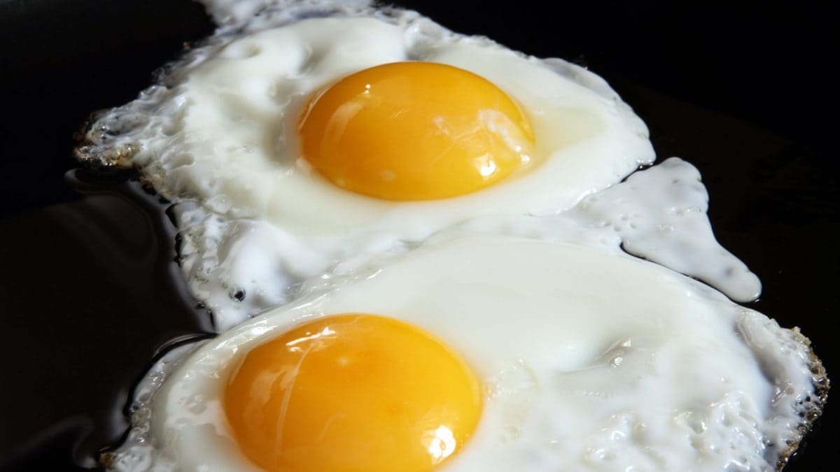 Here's An Ultimate Guide On ALL the Possible Ways To Cook Eggs