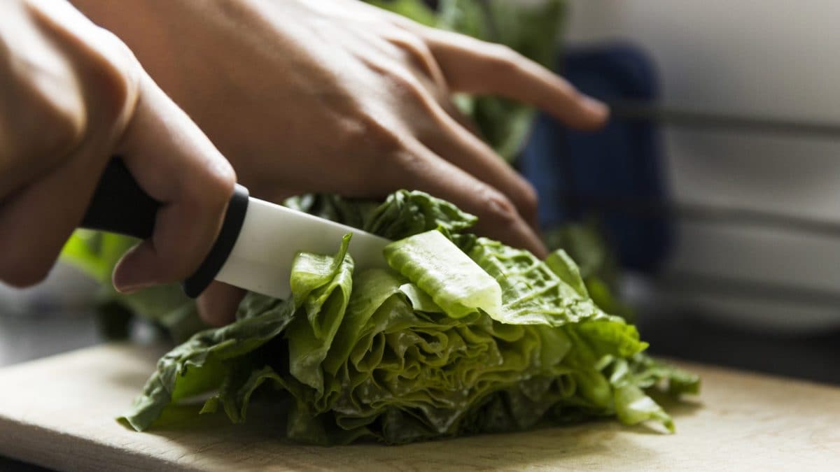 A Step By Step Guide To Regrowing Lettuce In Your Own Home