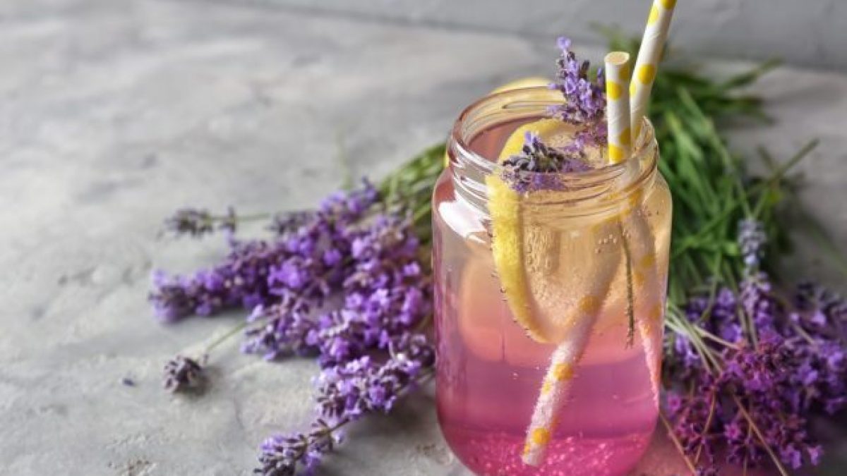 Lavender-flavored lemonade: the recipe for a fresh and delicious drink ...